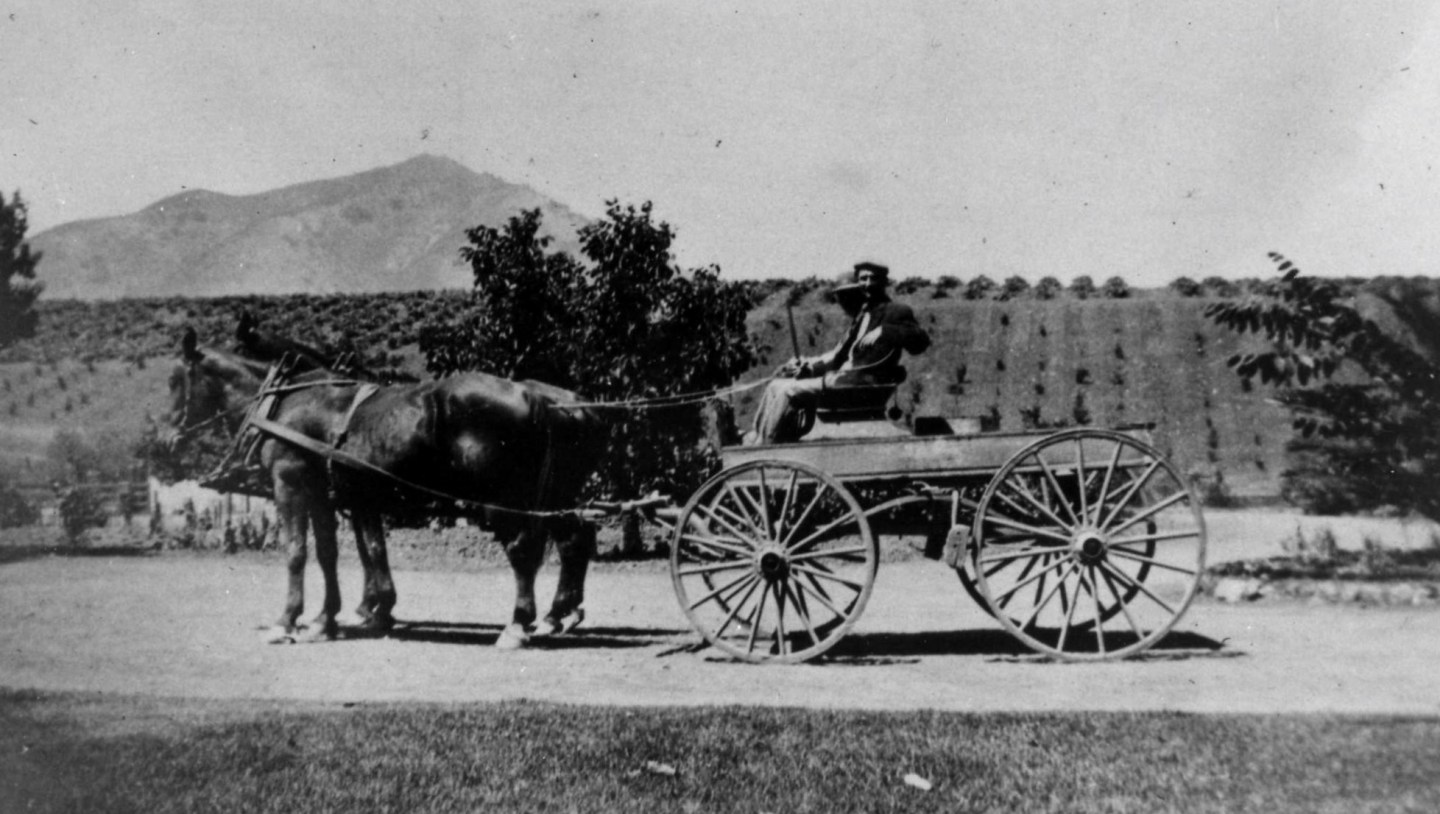 Clayton Historical Society & Museum – Preserving and promoting Clayton ...